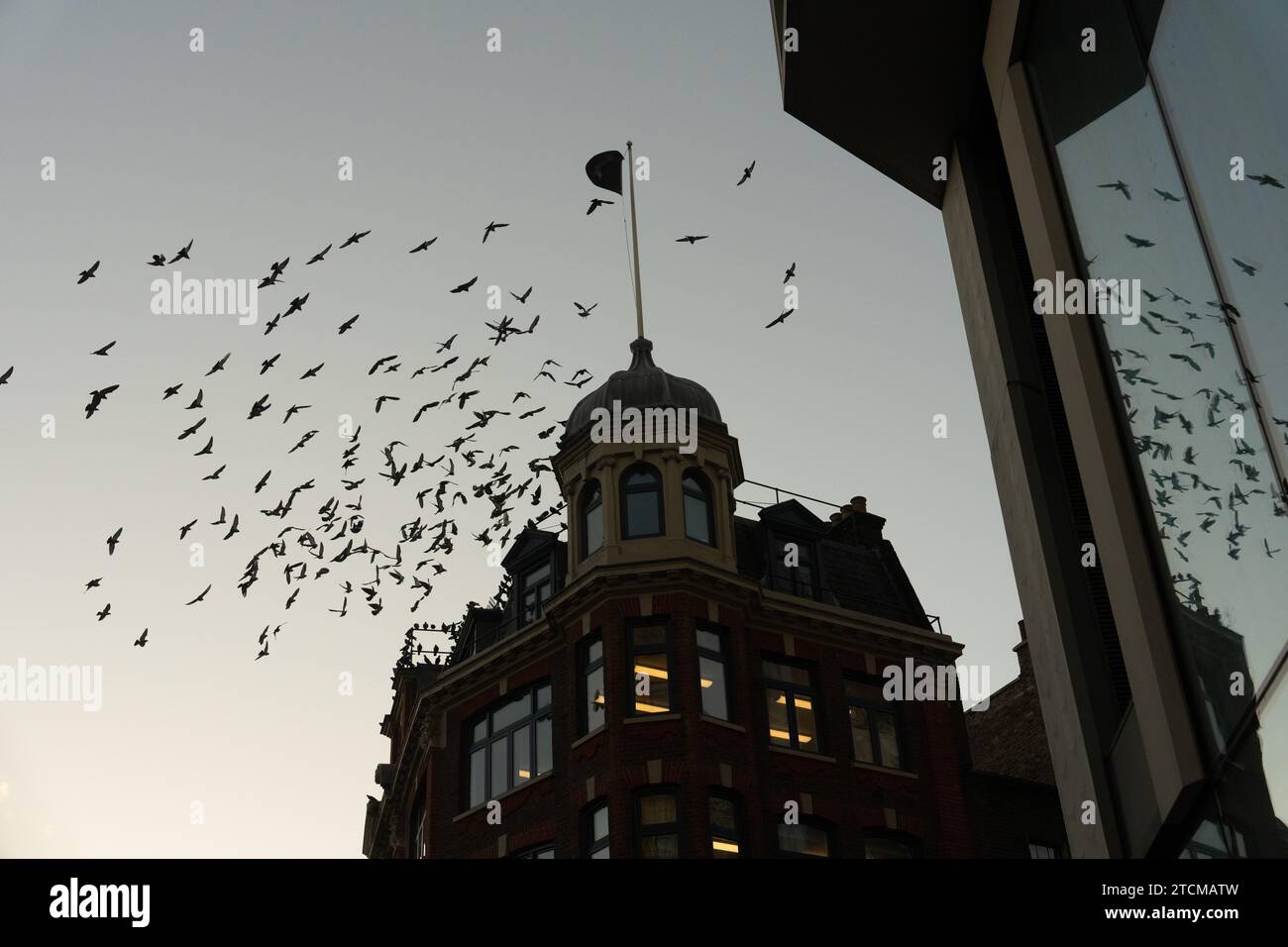 St Giles Square, Centre Point is a major urban square and building ...