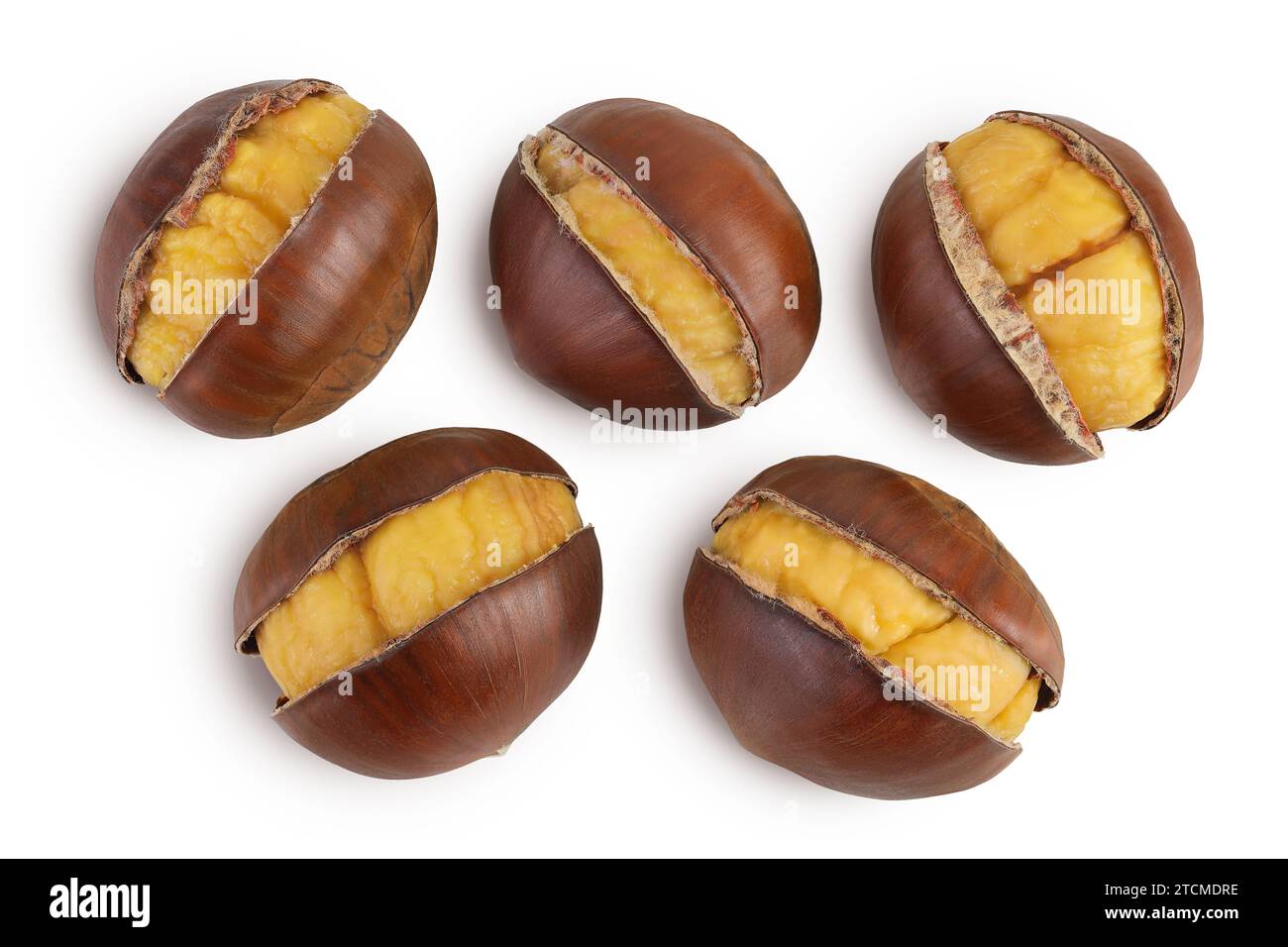 roasted peeled chestnut isolated on white background wit full depth of ...
