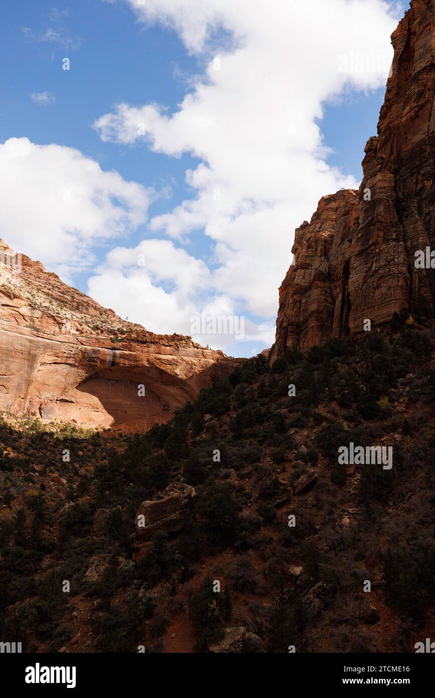 arch in a cliff, zion national park Stock Photo - Alamy