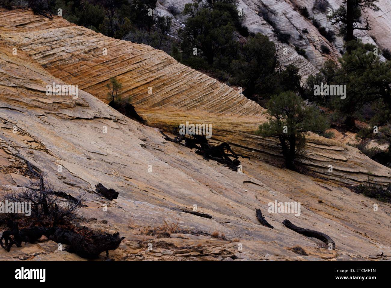 Striped rocks hi-res stock photography and images - Alamy