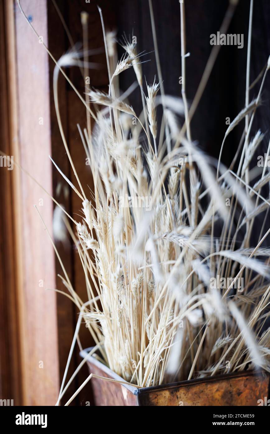 wheat chaff in a decorative box by a window Stock Photo - Alamy