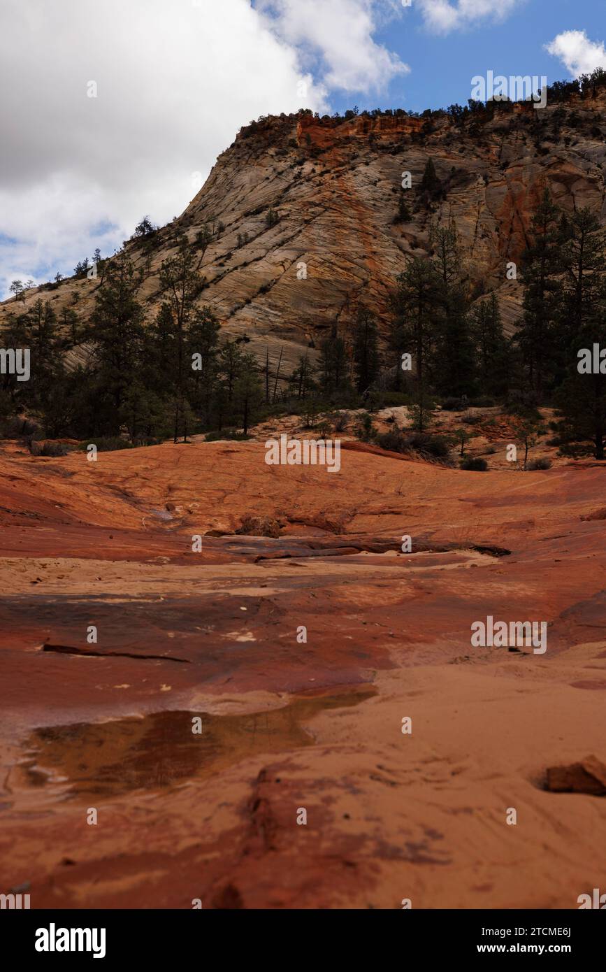 checkerboard mesa rising over wet red rocks, zion national park Stock ...