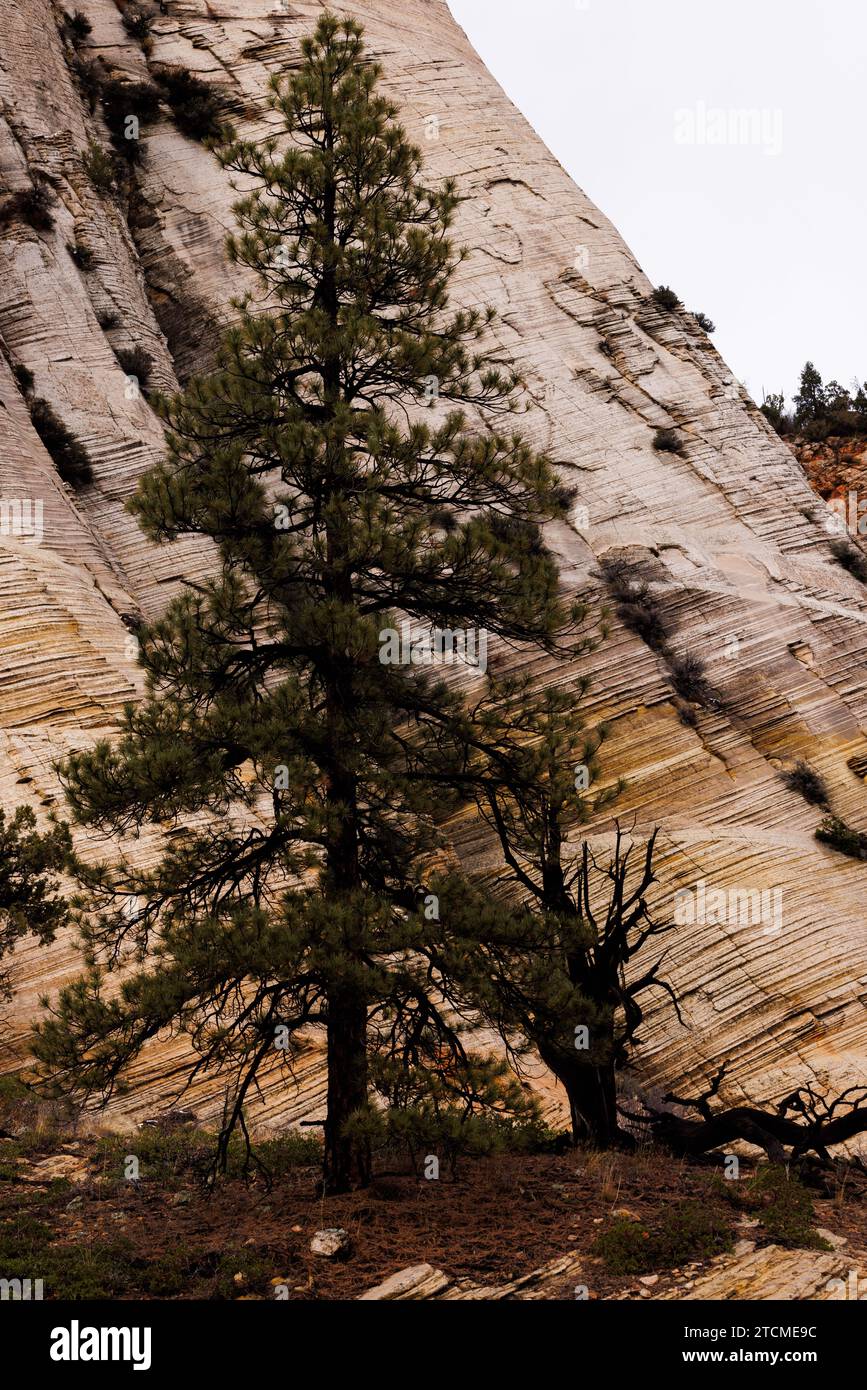 Striped rocks hi-res stock photography and images - Alamy