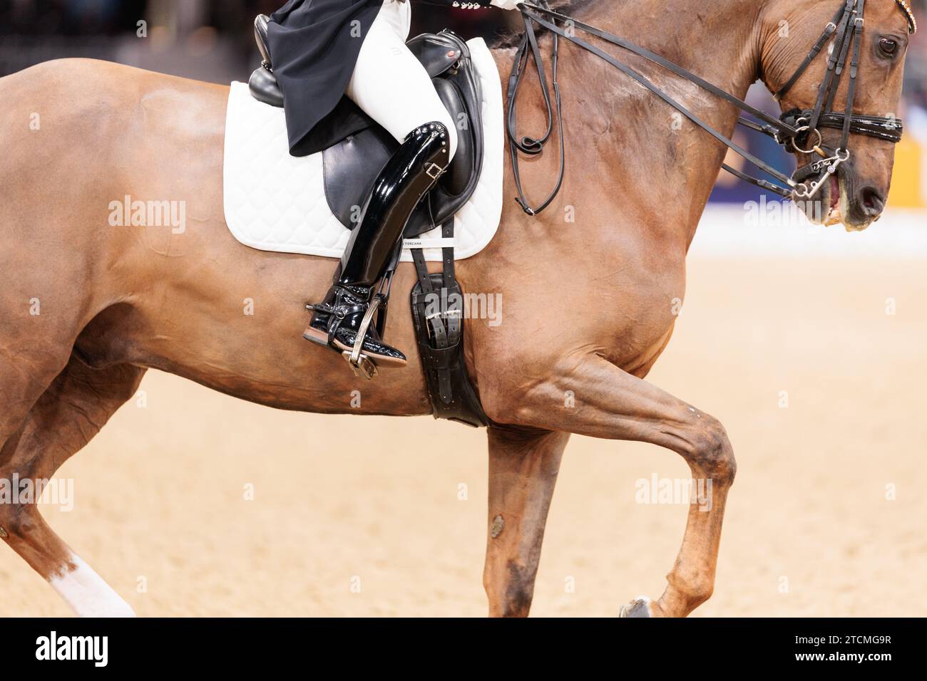 Teamned hi-res stock photography and images - Alamy