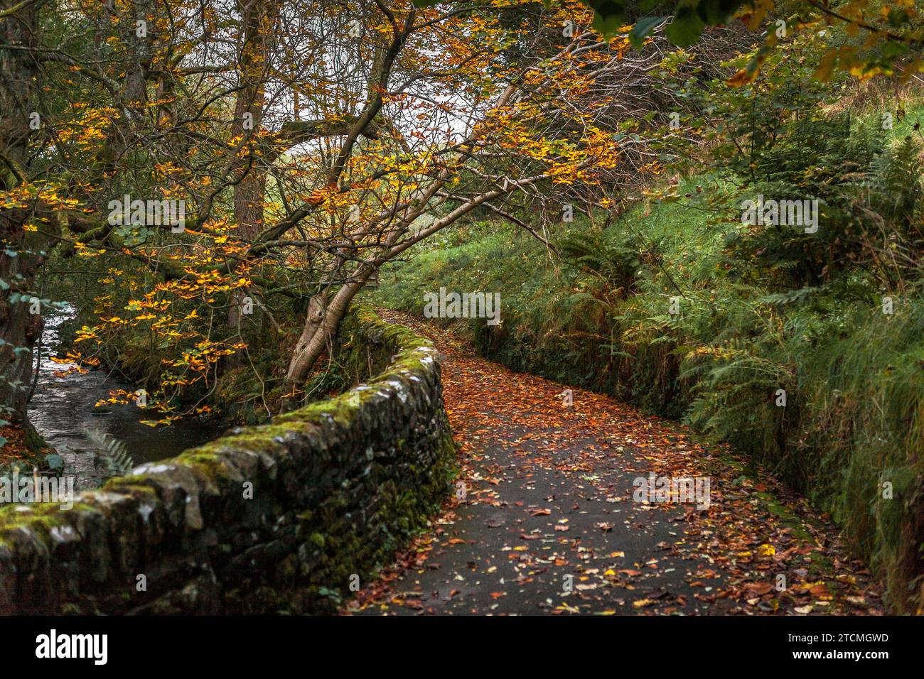 Path through Wycoller Country Park, near the abandoned ruins of ...