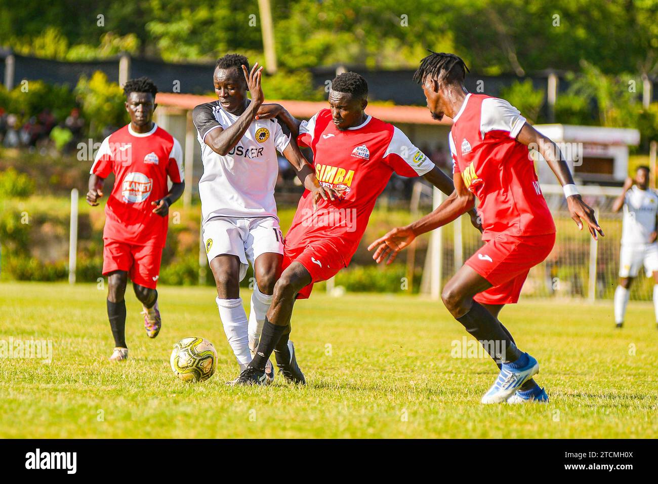 Tusker fc hi-res stock photography and images - Alamy