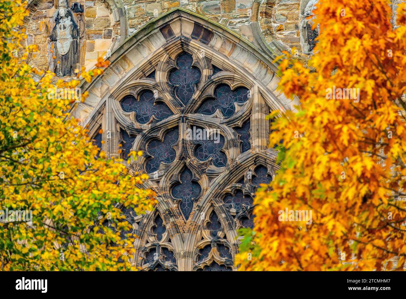 Durham Cathedral, with autumnal colours Stock Photo - Alamy
