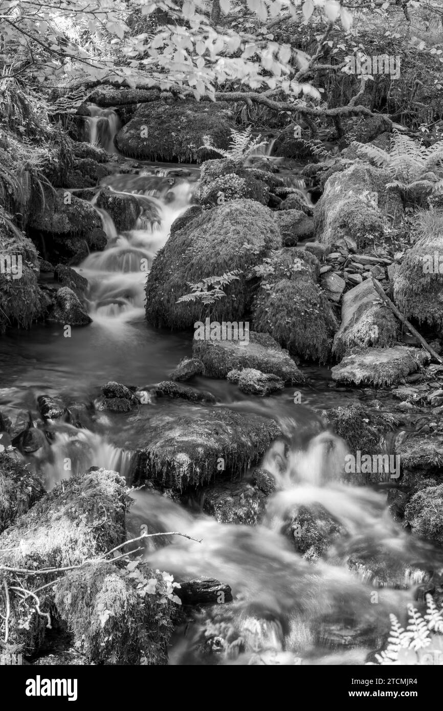 Long exposure of a waterfall flowing into the river Barle in the Barle ...