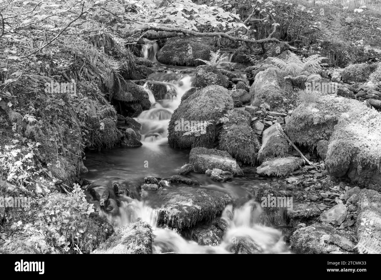 Long exposure of a waterfall flowing into the river Barle in the Barle ...