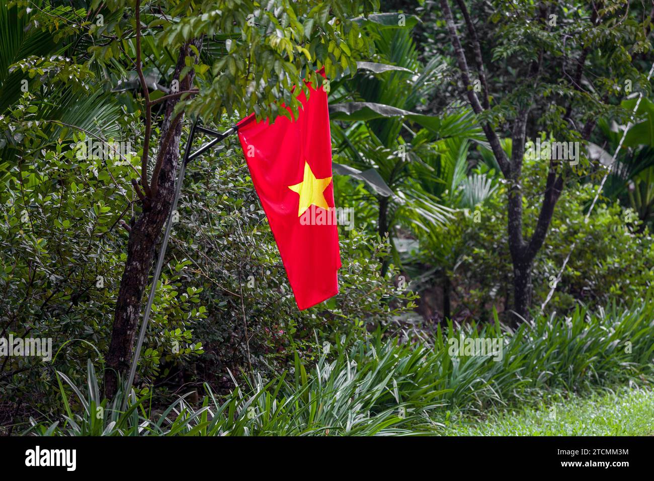 Vietnamese flag in the Ancient Village of Loc Yen Stock Photo - Alamy
