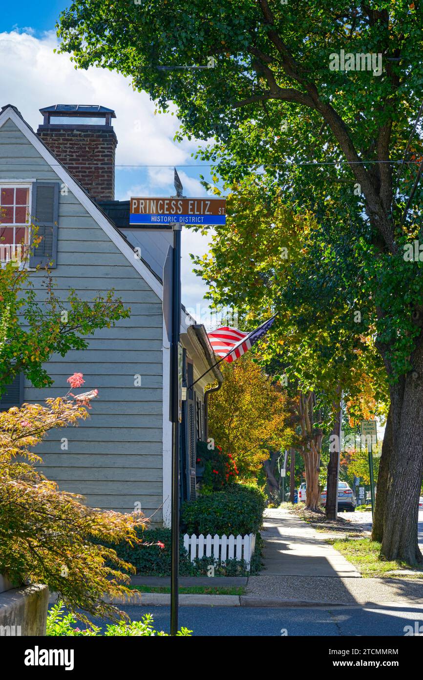 An American flag flies outside a house on the corner of Pricess ...