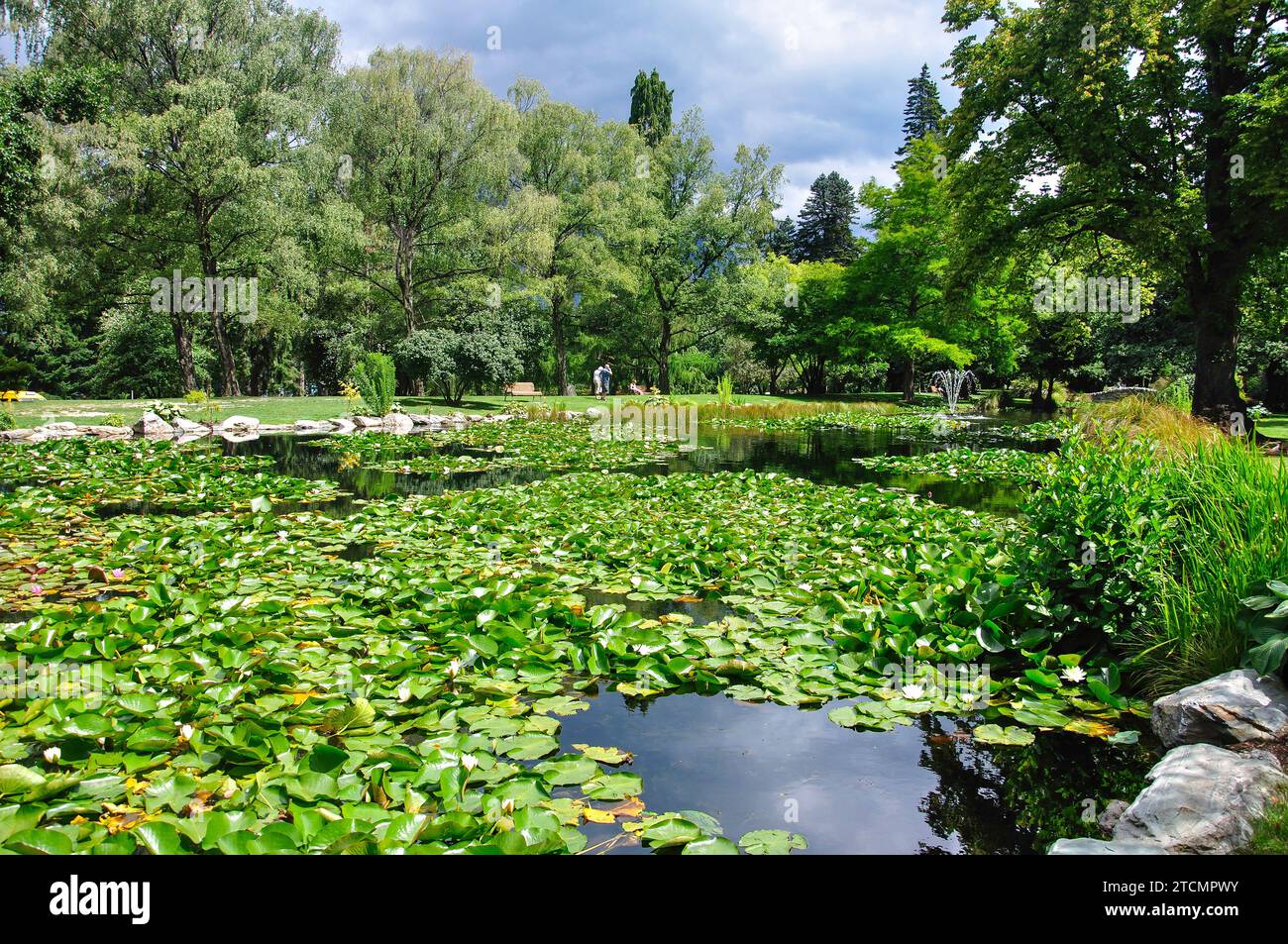 Lilly pond at Queenstown Gardens, Queenstown, Otago Region, South ...