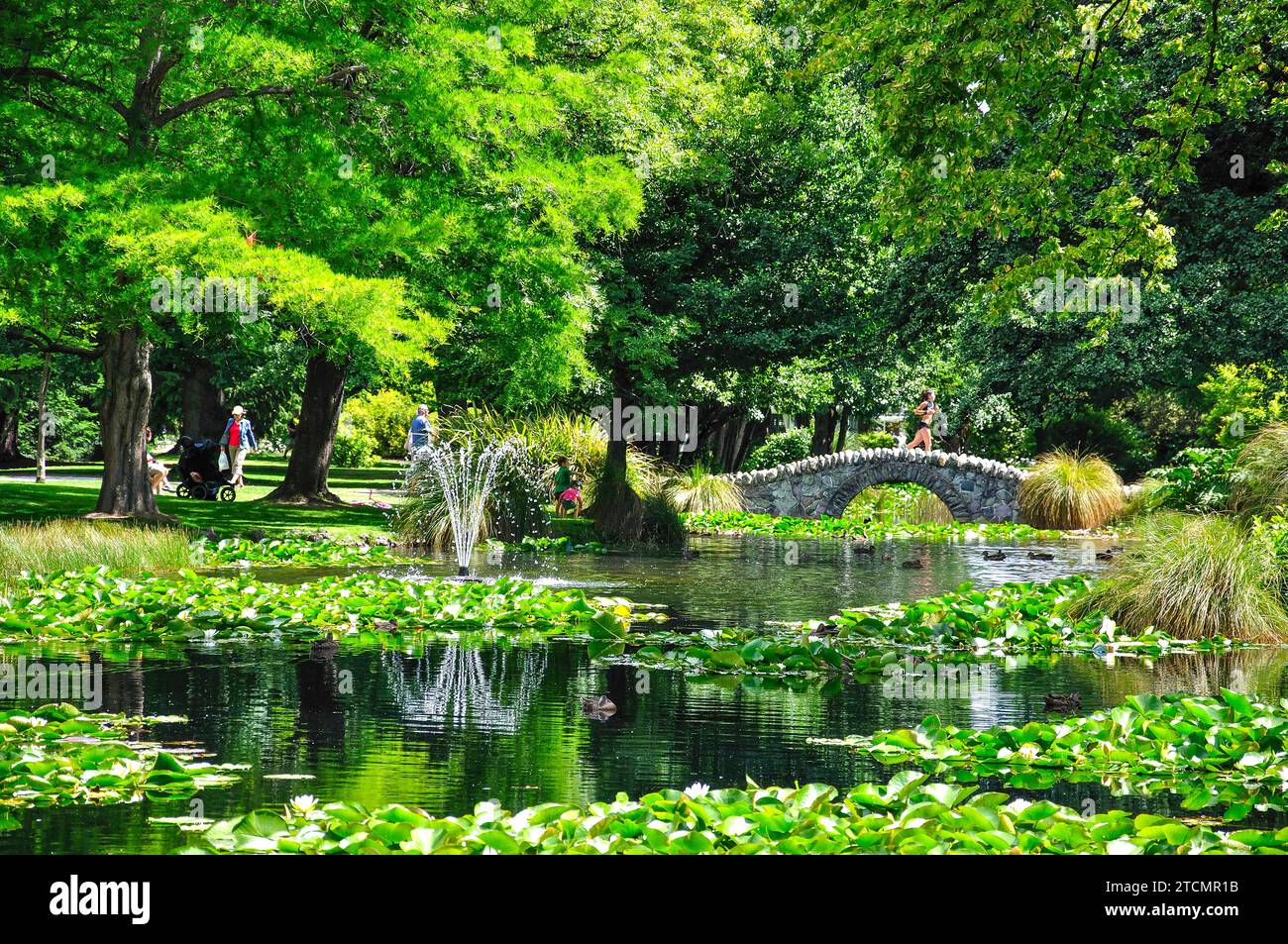 Lilly pond and stone bridge at Queenstown Gardens, Queenstown, Otago ...