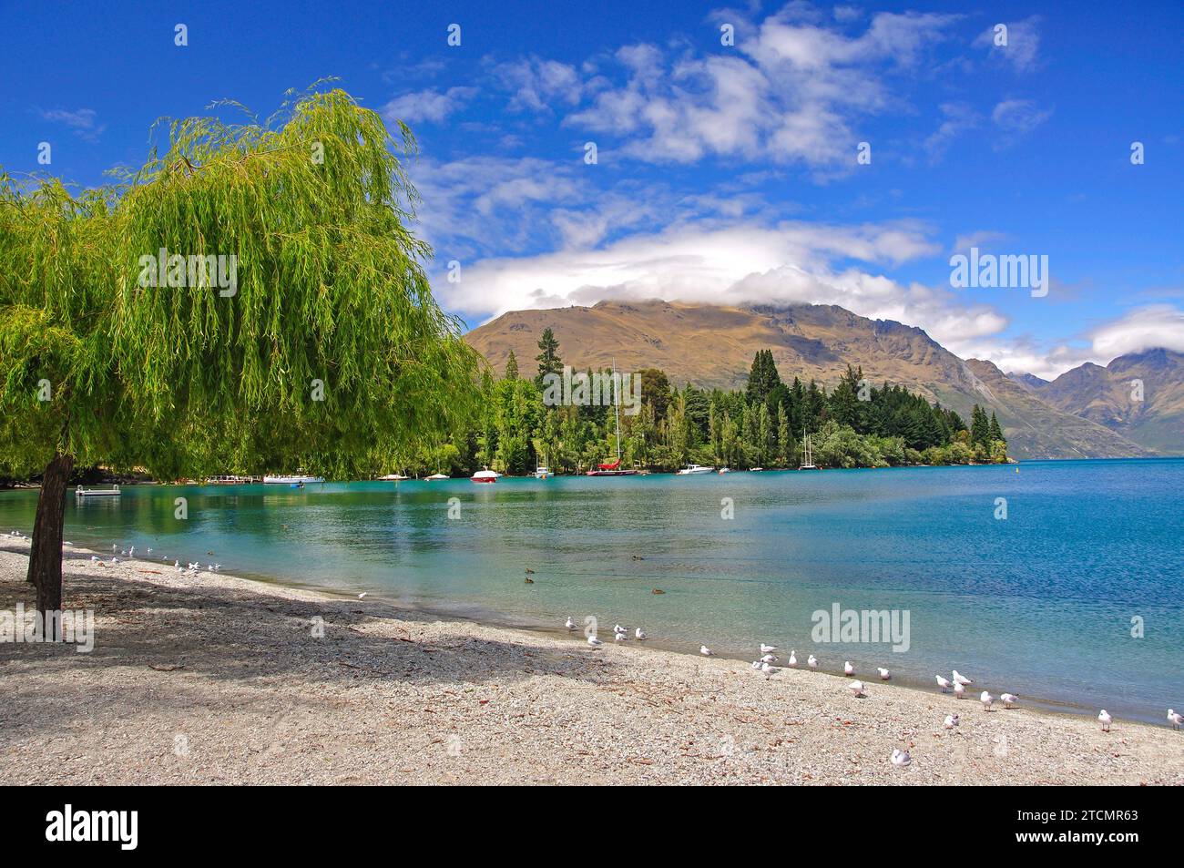 Lake Wakatipu from Queenstown Bay, Queenstown, Otago Region, South ...