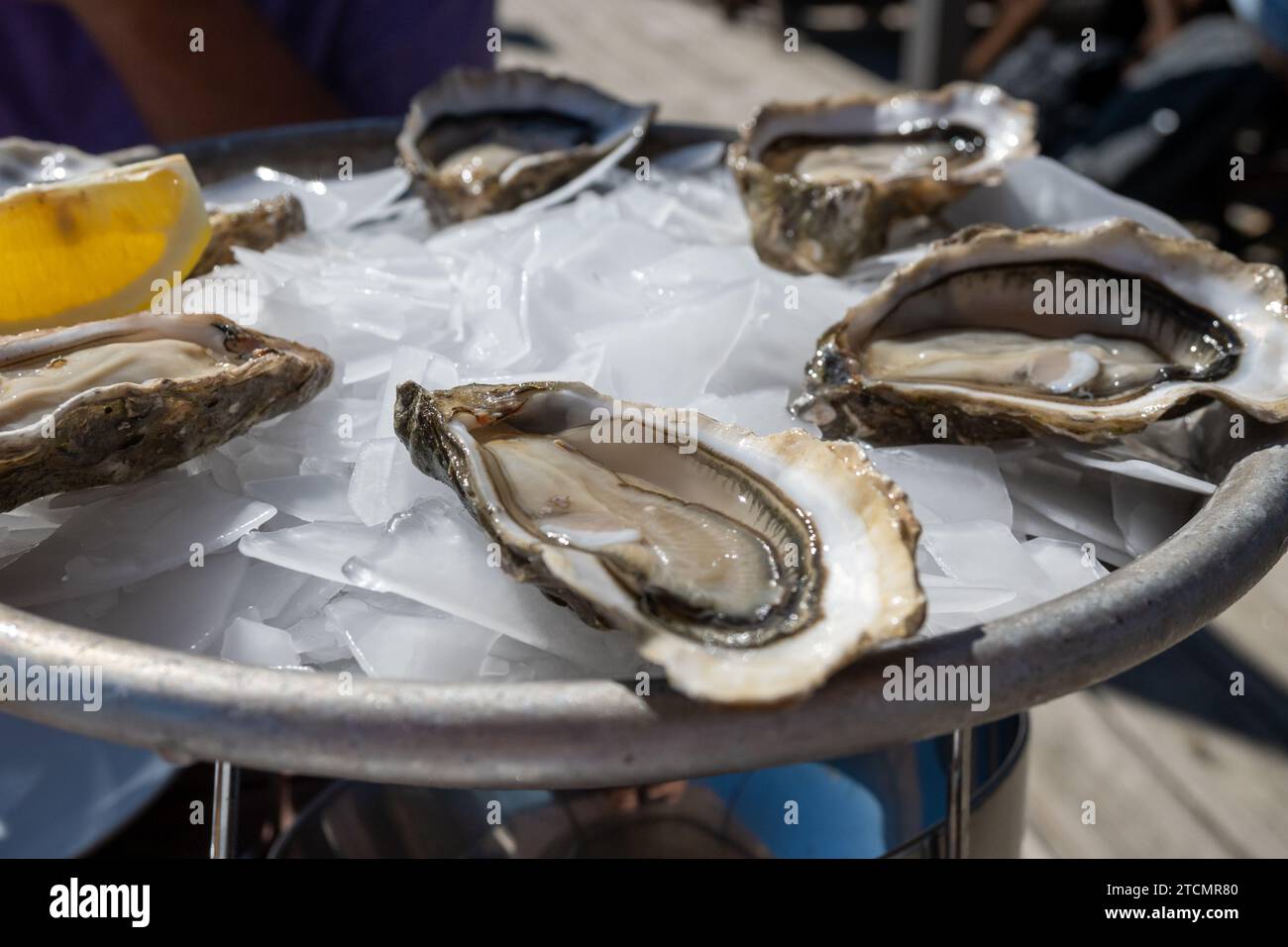 Eating of fresh live oysters at farm cafe in oyster-farming village ...