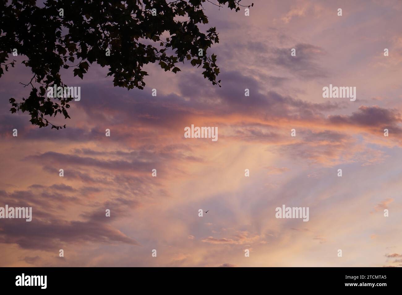 Candy sunset hi-res stock photography and images - Alamy