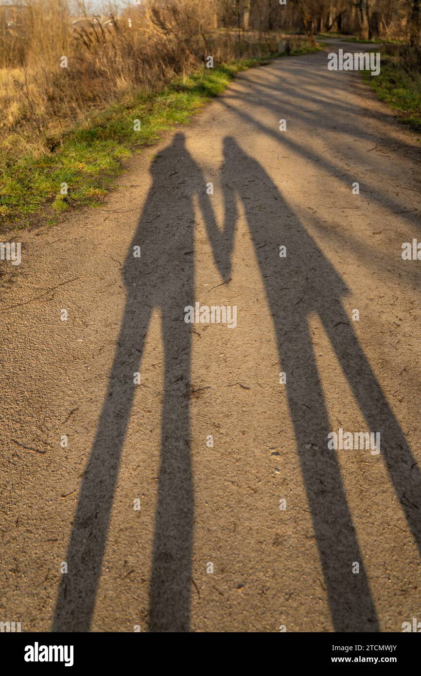 The shadows of a romantic couple holding hands on a park trail Stock ...