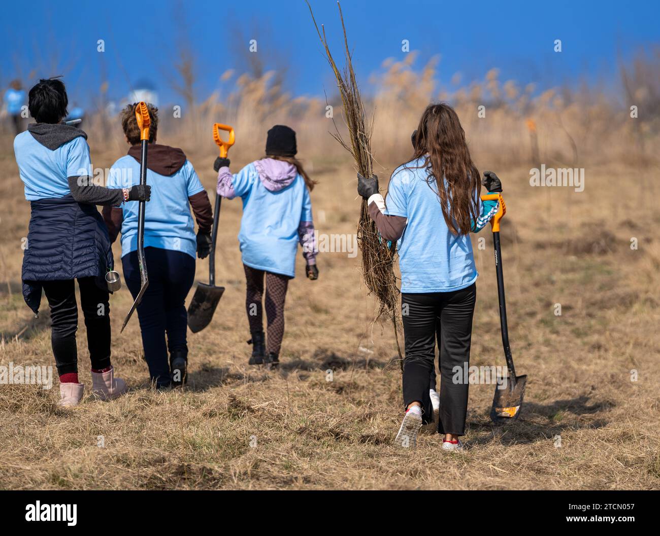 A group of people in bright blue clothing carrying equipment for ...