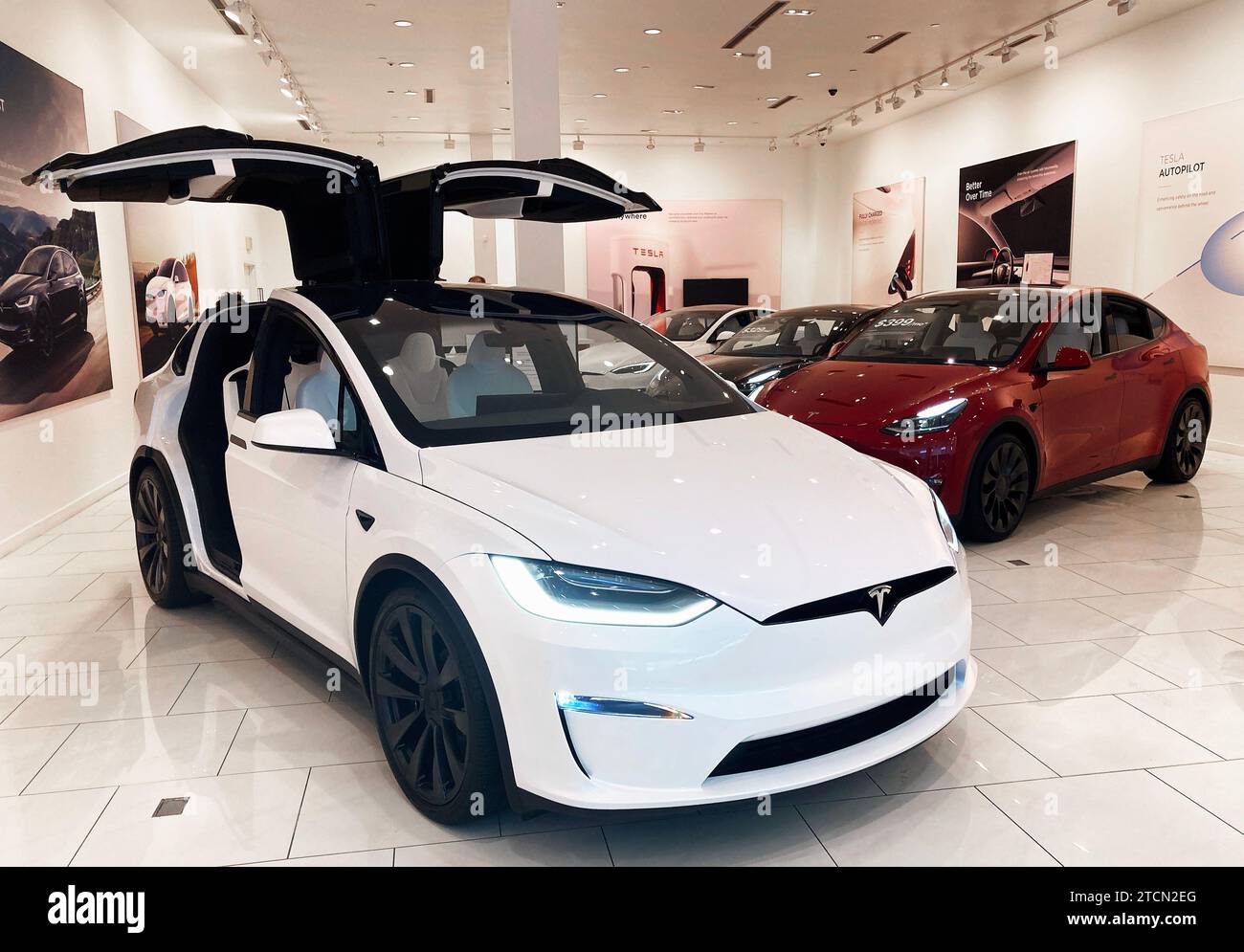 Two tesla electric vehicles hi-res stock photography and images - Alamy
