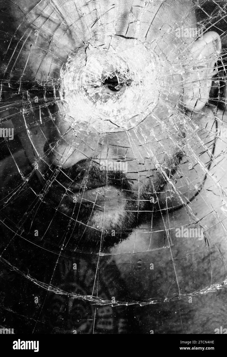 Strong hooligan Black and White Stock Photos & Images - Alamy