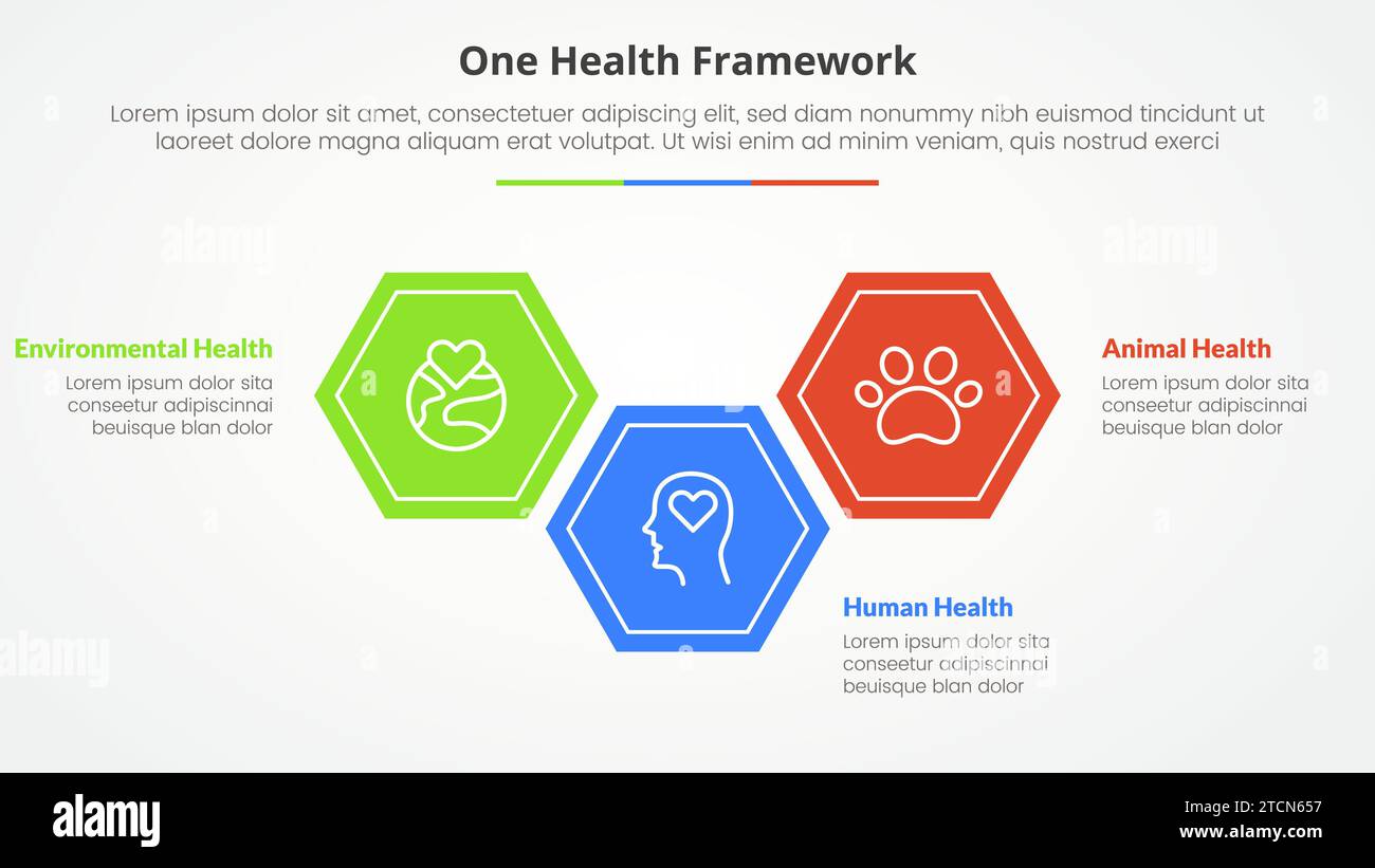 one health infographic concept for slide presentation with hexagonal or ...