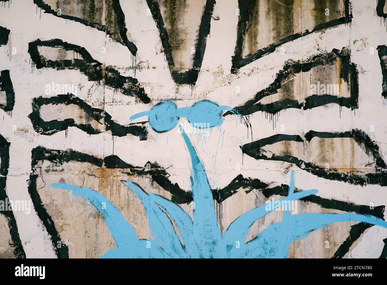 Graffiti spider hi-res stock photography and images - Alamy