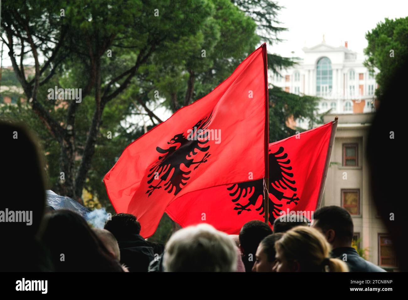 Tirana, Albania - November 28: A close-up shot of Albanian flags held ...