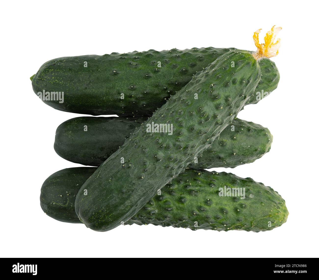 pile of fresh raw cucumbers isolated on white background with clipping ...