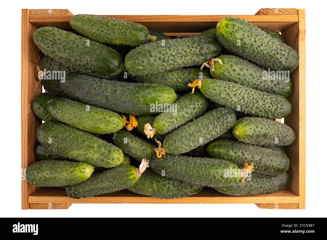 pile of fresh raw cucumbers in wooden box isolated on white background ...