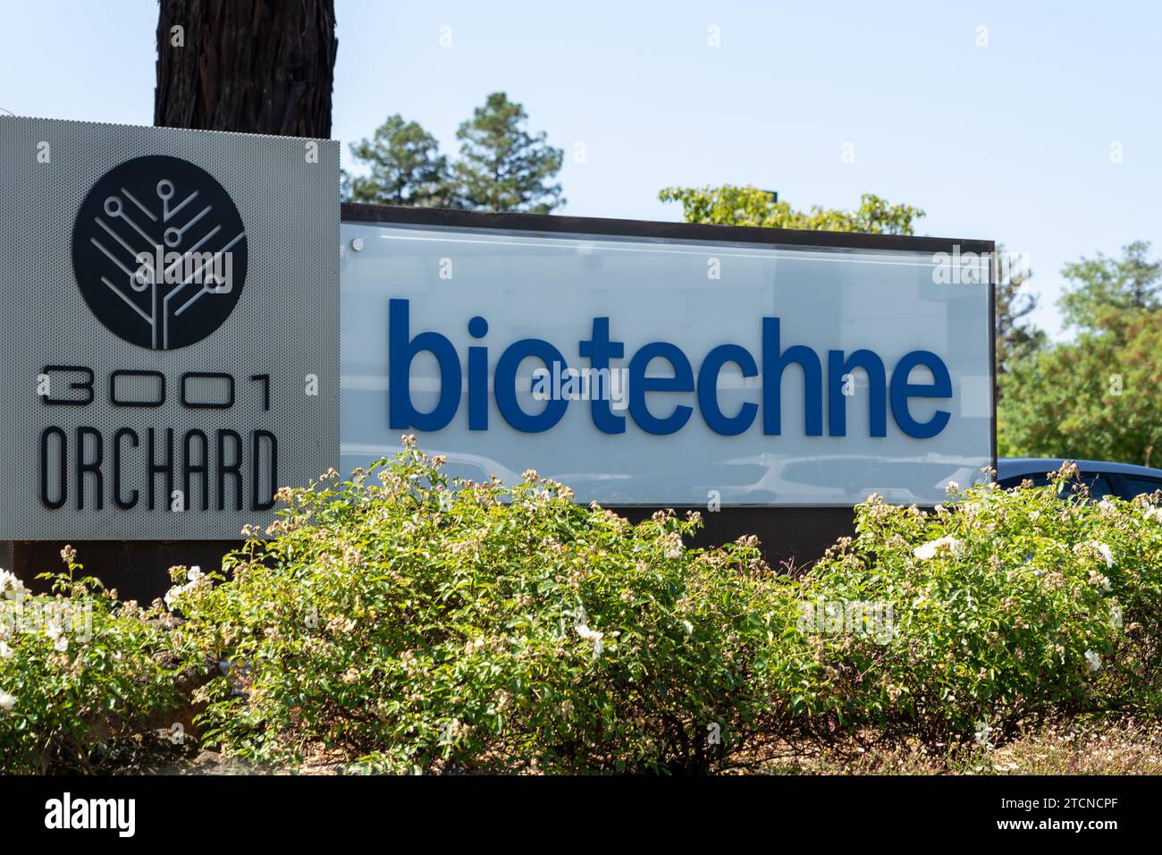 Techne hi-res stock photography and images - Alamy