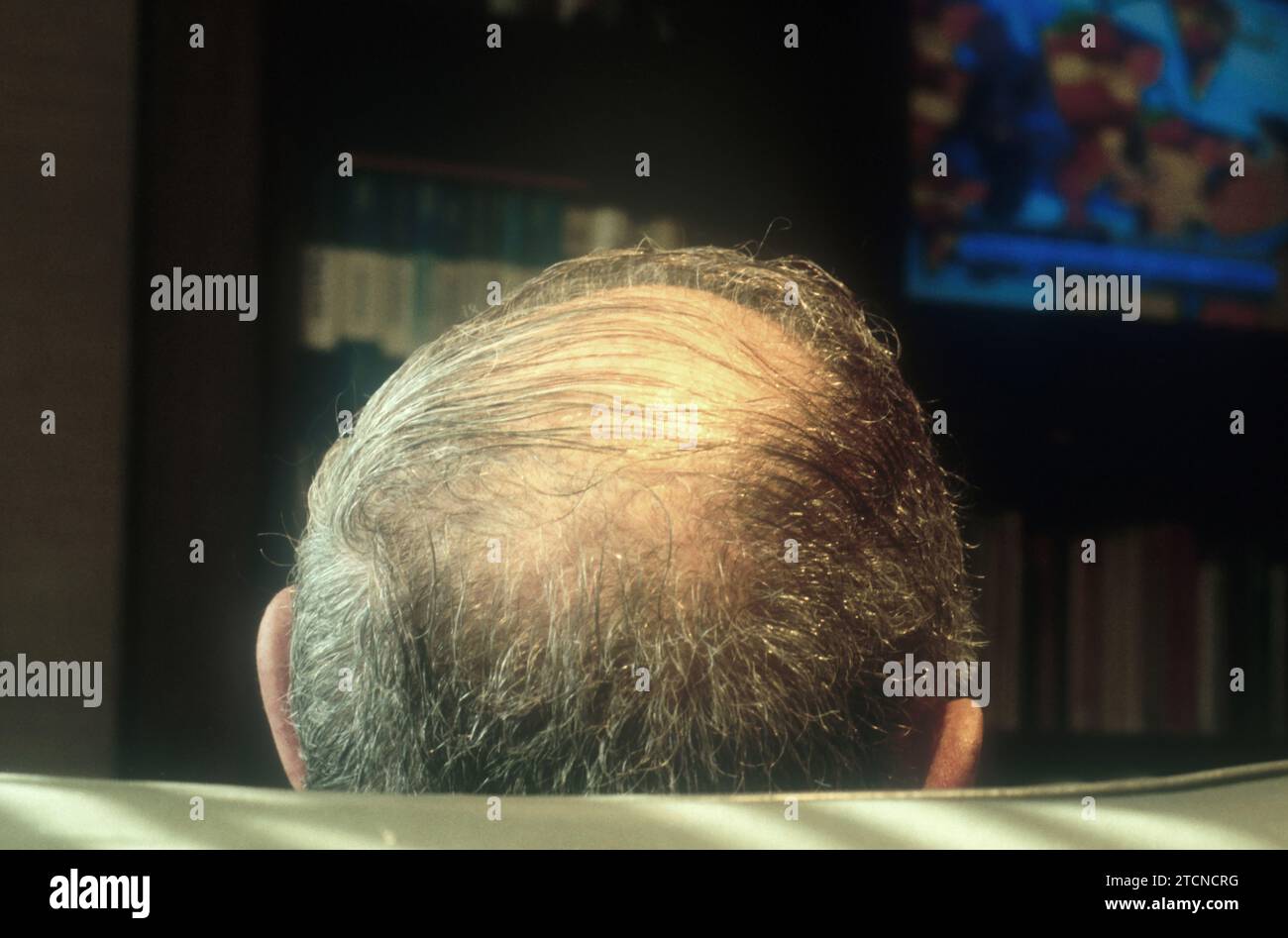 Back of head of a balding man. Elderly man watching television seated ...