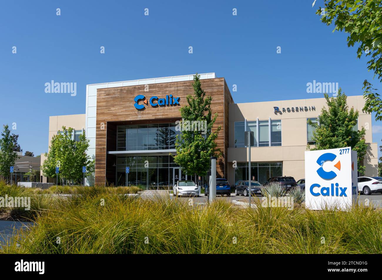 Calix hi-res stock photography and images - Alamy