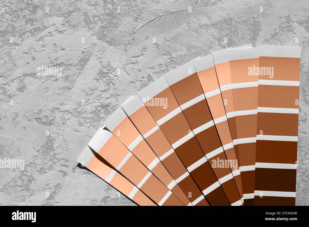 Colour of the year Palette Catalog Peach Fuzz samples, paint selection ...