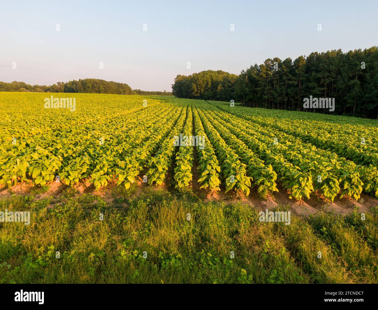 North carolina farm aerial hi-res stock photography and images - Alamy