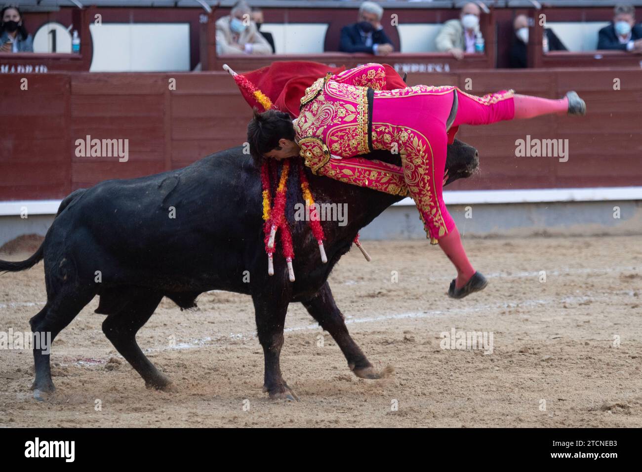 Manuel perera matos hi-res stock photography and images - Alamy