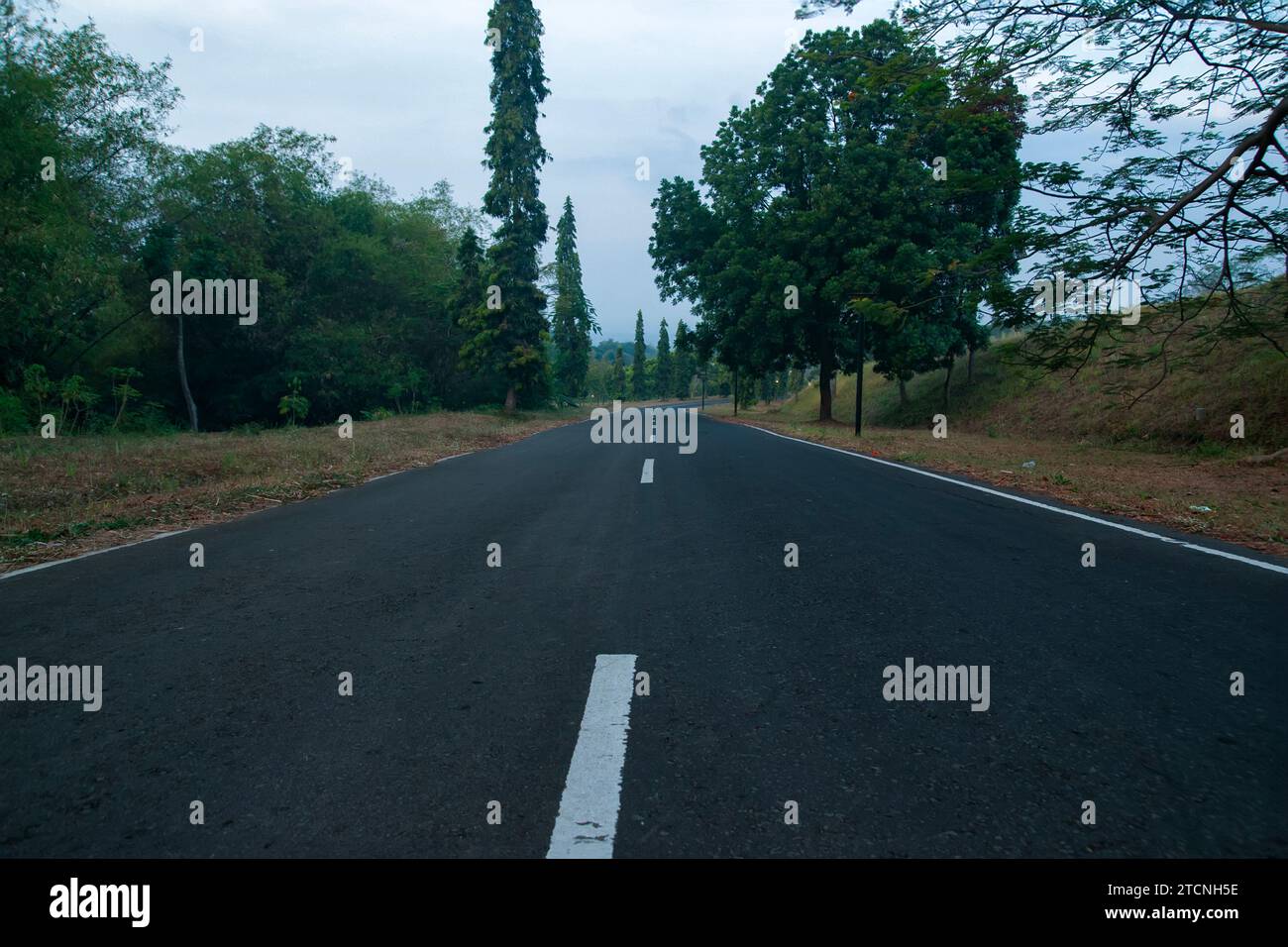 Narrow wilderness asphalt road hi-res stock photography and images - Alamy