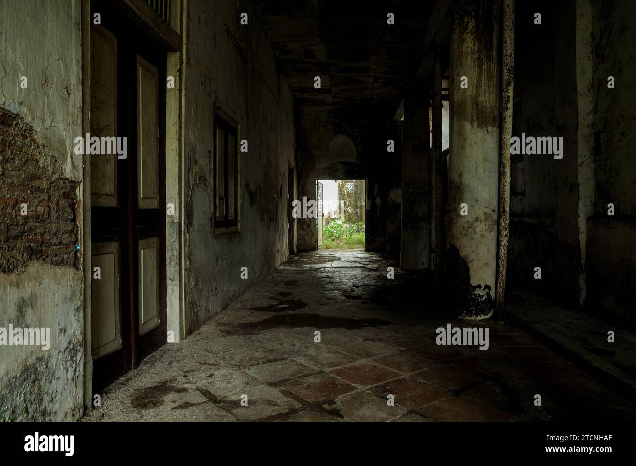 the hallway of an empty house that has been left in a state of disrepair Stock Photo - Alamy