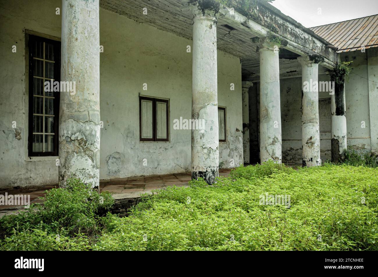 the front yard of an empty house that has been left in a state of disrepair and unkempt Stock ...