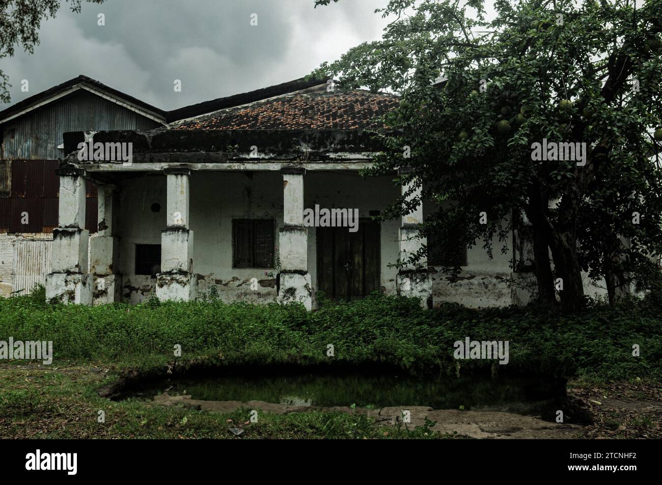 the front yard of an empty house that has been left in a state of disrepair and unkempt Stock ...