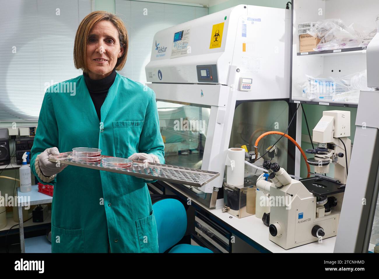 Maria isabel sola gurpegui hi-res stock photography and images - Alamy