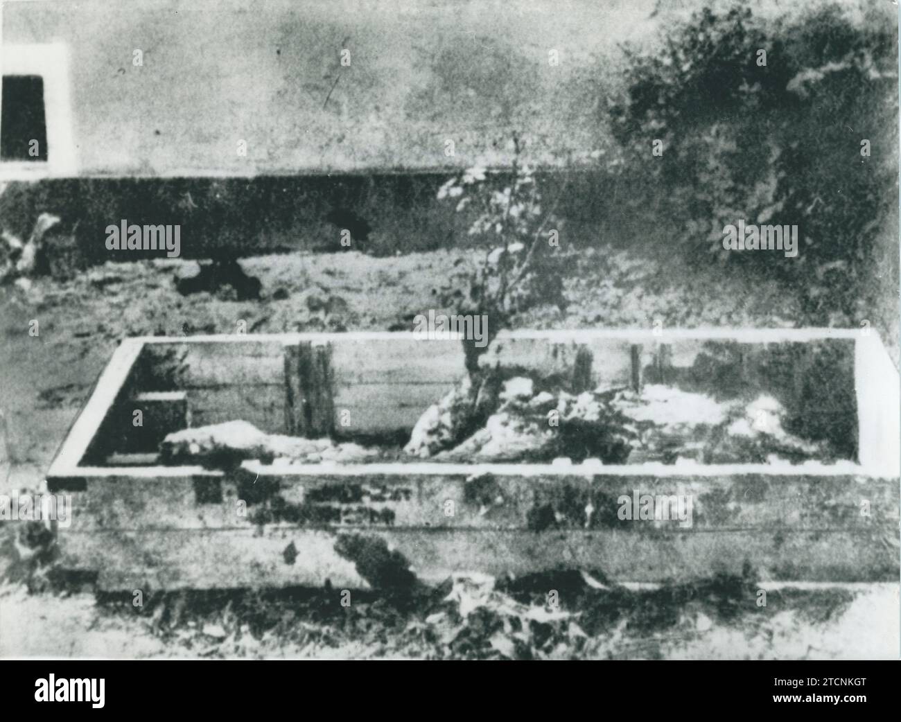 Adolf hitler death hi-res stock photography and images - Alamy