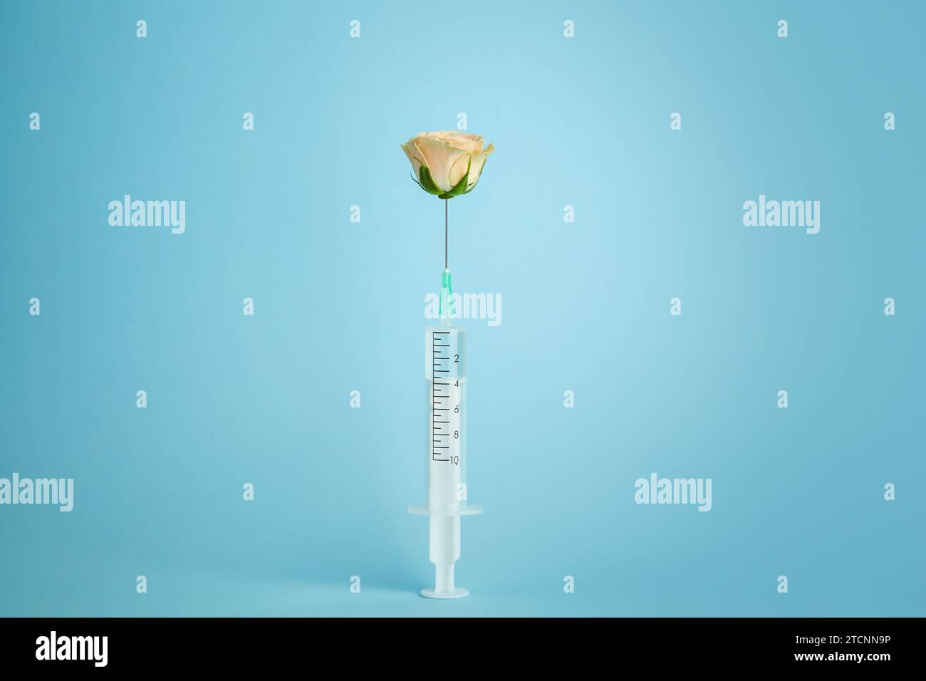 Medical syringe and beautiful rose on light blue background Stock Photo ...