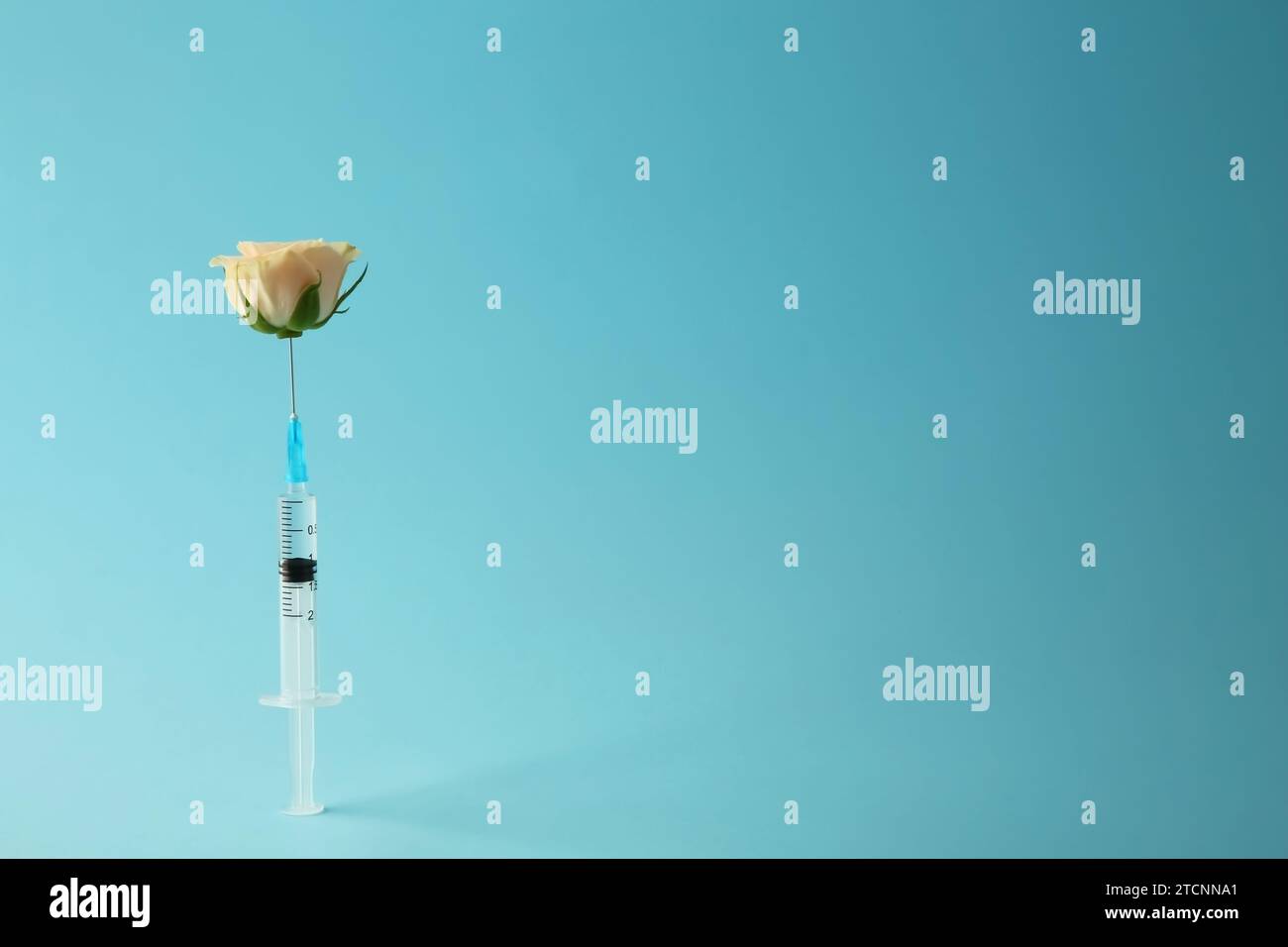 Medical syringe and beautiful rose on light blue background, space for ...