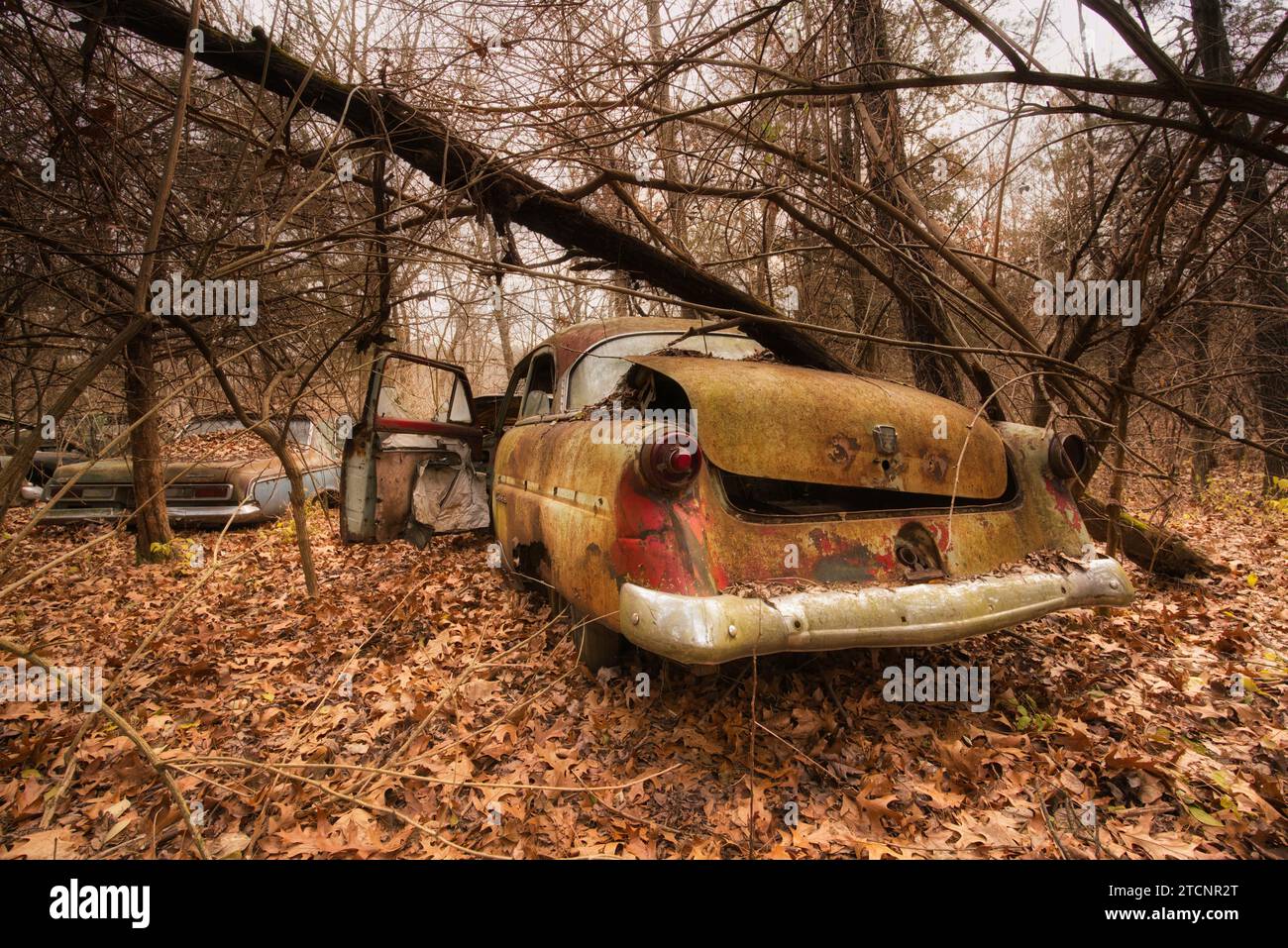 Antique car graveyard in central Illinois Stock Photo - Alamy