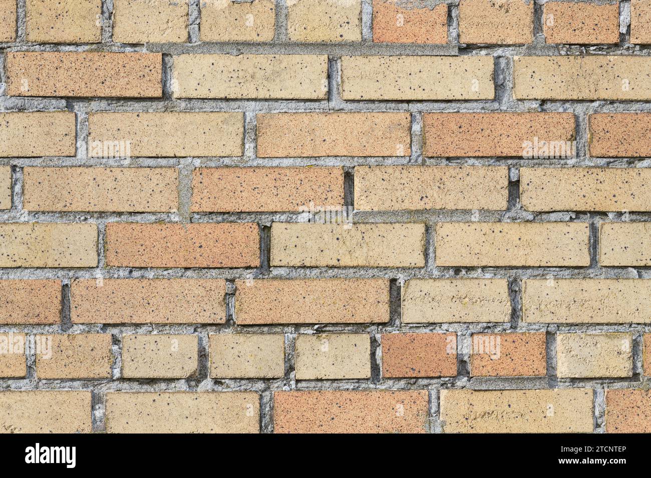 Layers of yellow bricks laid horizontally in pattern with aging mortar ...