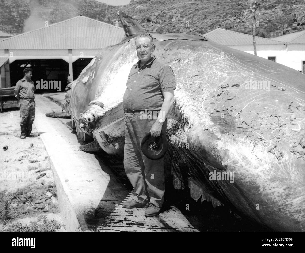 Muxía (La Coruña), July 1962. Don Santiago Bernabéu dedicated himself ...