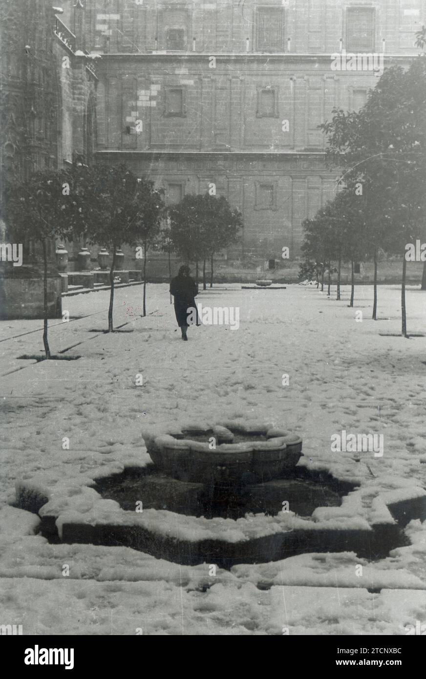 The snow that fell in Seville in 1954 recreated images of the city that ...