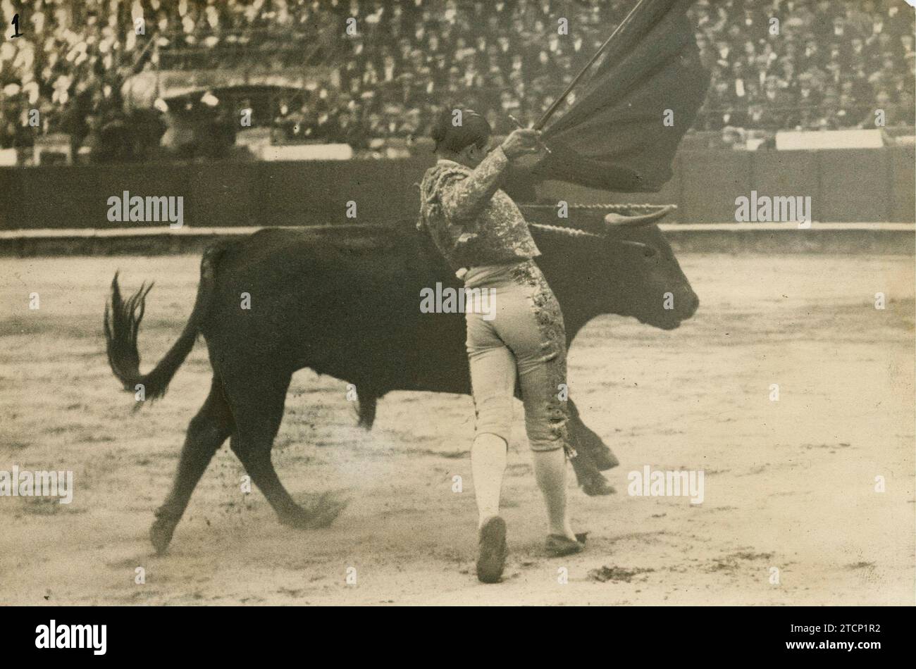 Lagartito hi-res stock photography and images - Alamy