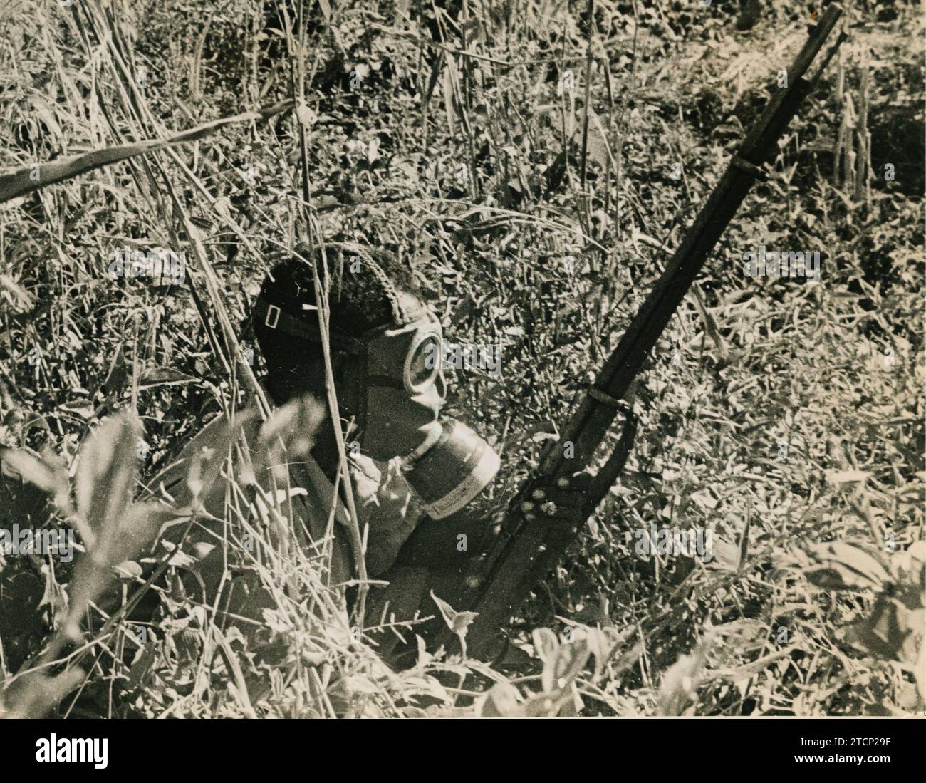 Abyssinian warriors ethiopia date hi-res stock photography and images ...