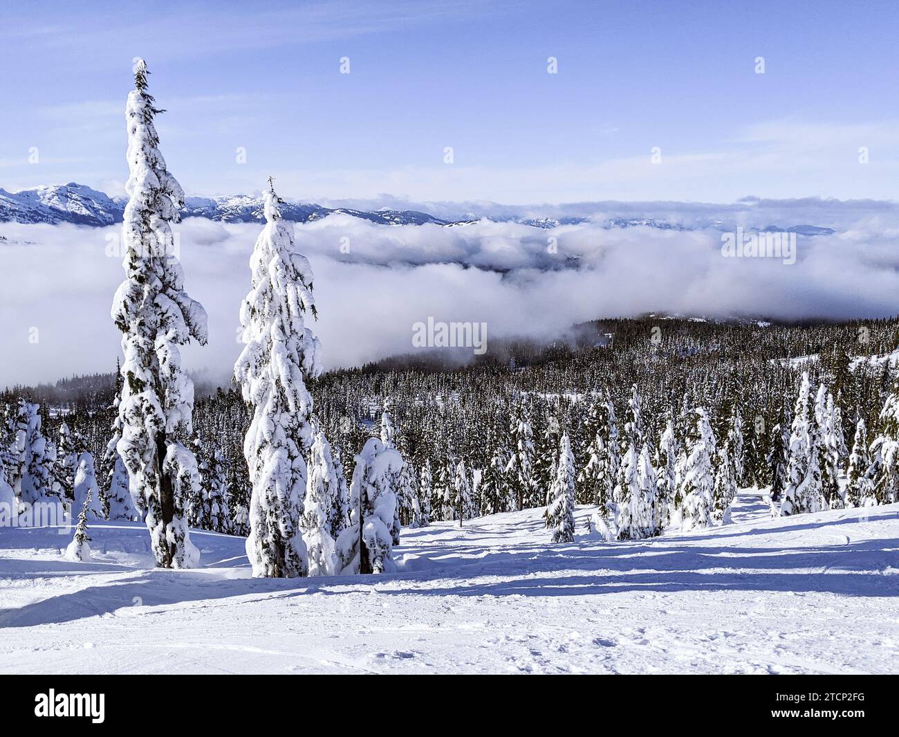 Winter Cloud Inversion at Mount Washington British Columbia Stock Photo ...